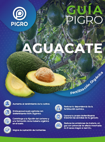 Guías PIGRO – PIGRO
