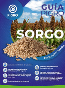 Guías PIGRO – PIGRO