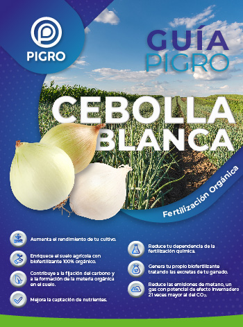 Guías PIGRO – PIGRO