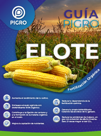 Guías PIGRO – PIGRO