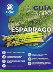 Guías PIGRO – PIGRO