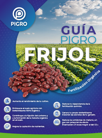 Guías PIGRO – PIGRO