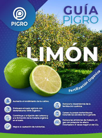 Guías PIGRO – PIGRO