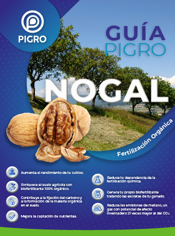 Guías PIGRO – PIGRO