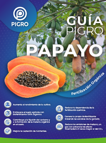 Guías PIGRO – PIGRO