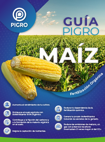 Guías PIGRO – PIGRO