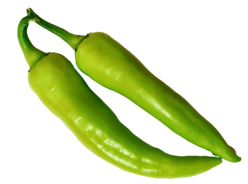 Guía Chile Verde – PIGRO