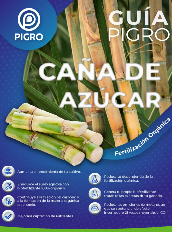 Guías PIGRO – PIGRO